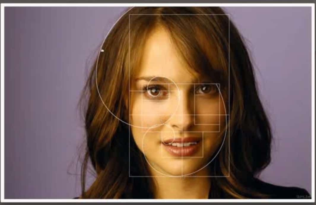 Waarom Werken In De Tuin Rust Brengt - Yggdrasil