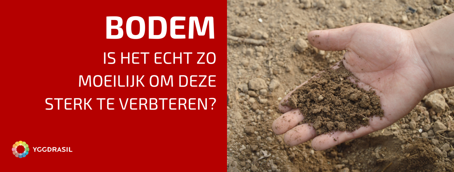 Blog Natuurlijke Moestuin - Yggdrasil