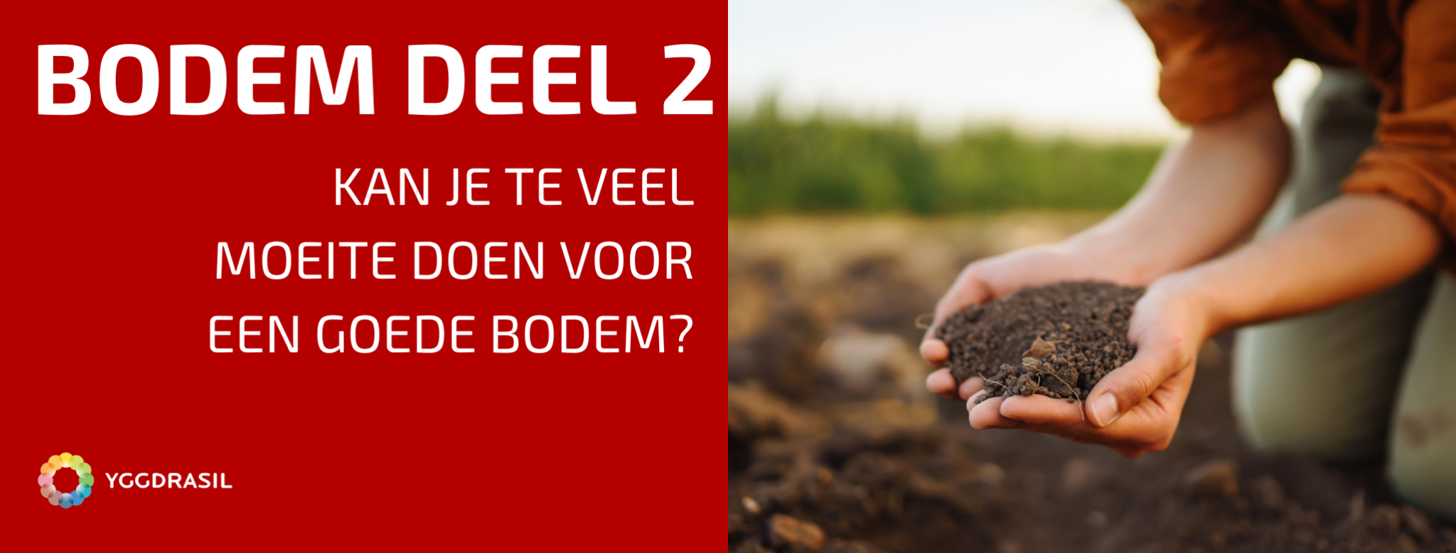 Blog Natuurlijke Moestuin - Yggdrasil